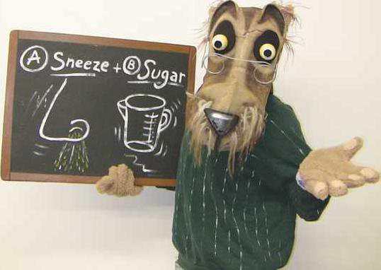 Wolf tells true tale of Three Little Pigs - Gainesville Times