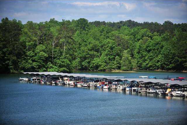 Whats in Lake Lanier's waters? - Gainesville Times