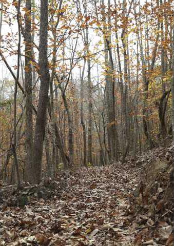 The long trek to creating Cherokee Bluffs park - Gainesville Times