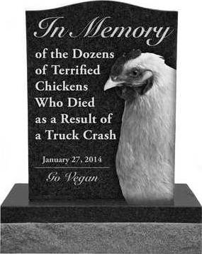 PETA wants roadside monument for chickens that died in truck crash ...