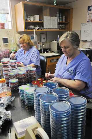 New poultry lab should be open by 2012 - Gainesville Times