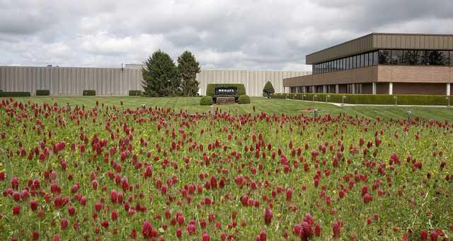 Mars to pay $23 billion for Wrigley; gum maker's biggest plant is in ...