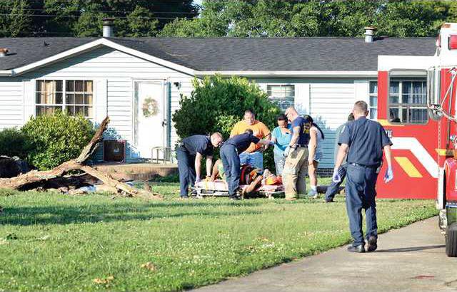 Man hospitalized after being hit by limb of falling tree - Gainesville ...