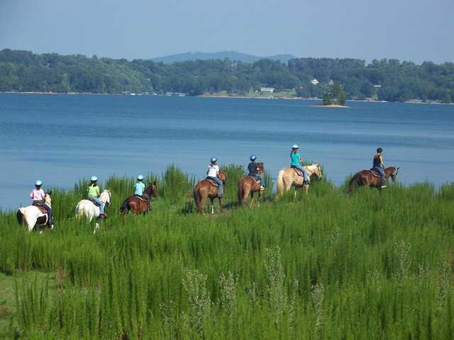 Saddle up to enjoy nature at North Georgia's horseback stables ...