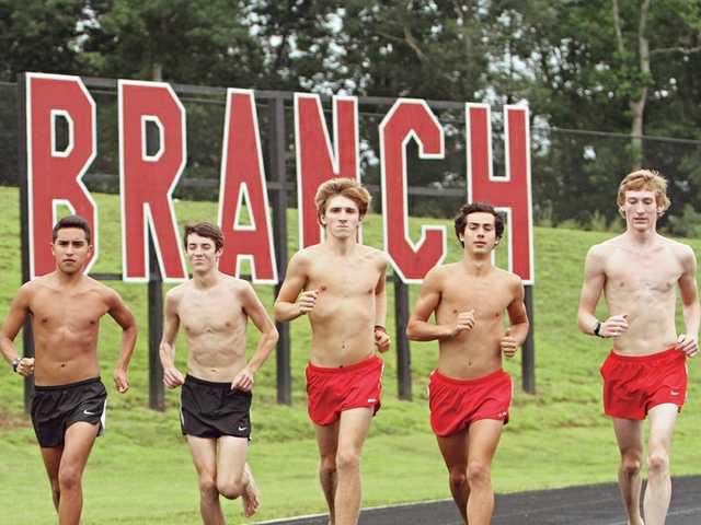 Cross country preview: Area programs geared up for run at state ...