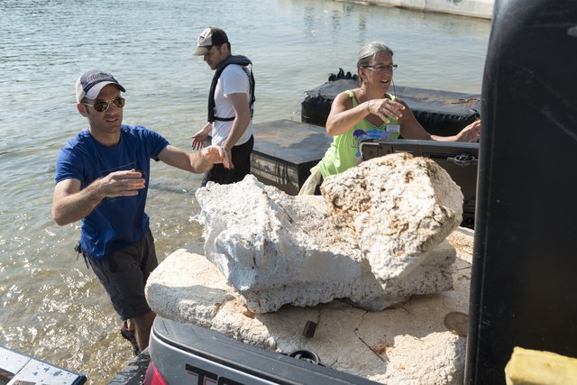 Photo slideshow: Shore Sweep scrubs Lake Lanier's shoreline ...