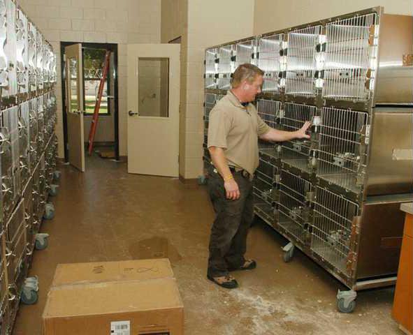 Hall County Animal Shelter opening delayed again - Gainesville Times