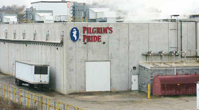 Pilgrim's Pride files for bankruptcy - Gainesville Times