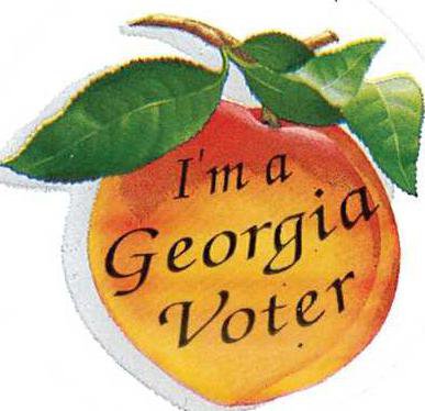 Sample November ballot for Hall voters now available - Gainesville Times