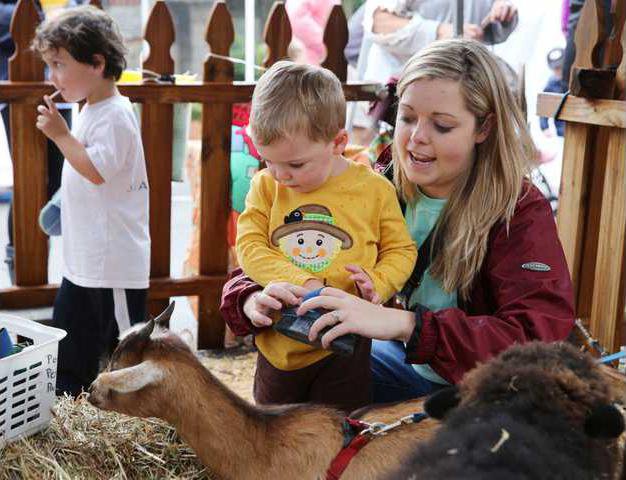 Mule Camp offers 'really cool stuff' despite soggy morning ...