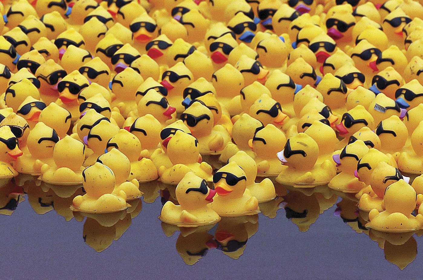 Thousands of yellow rubber ducks will soon race to support local kids ...