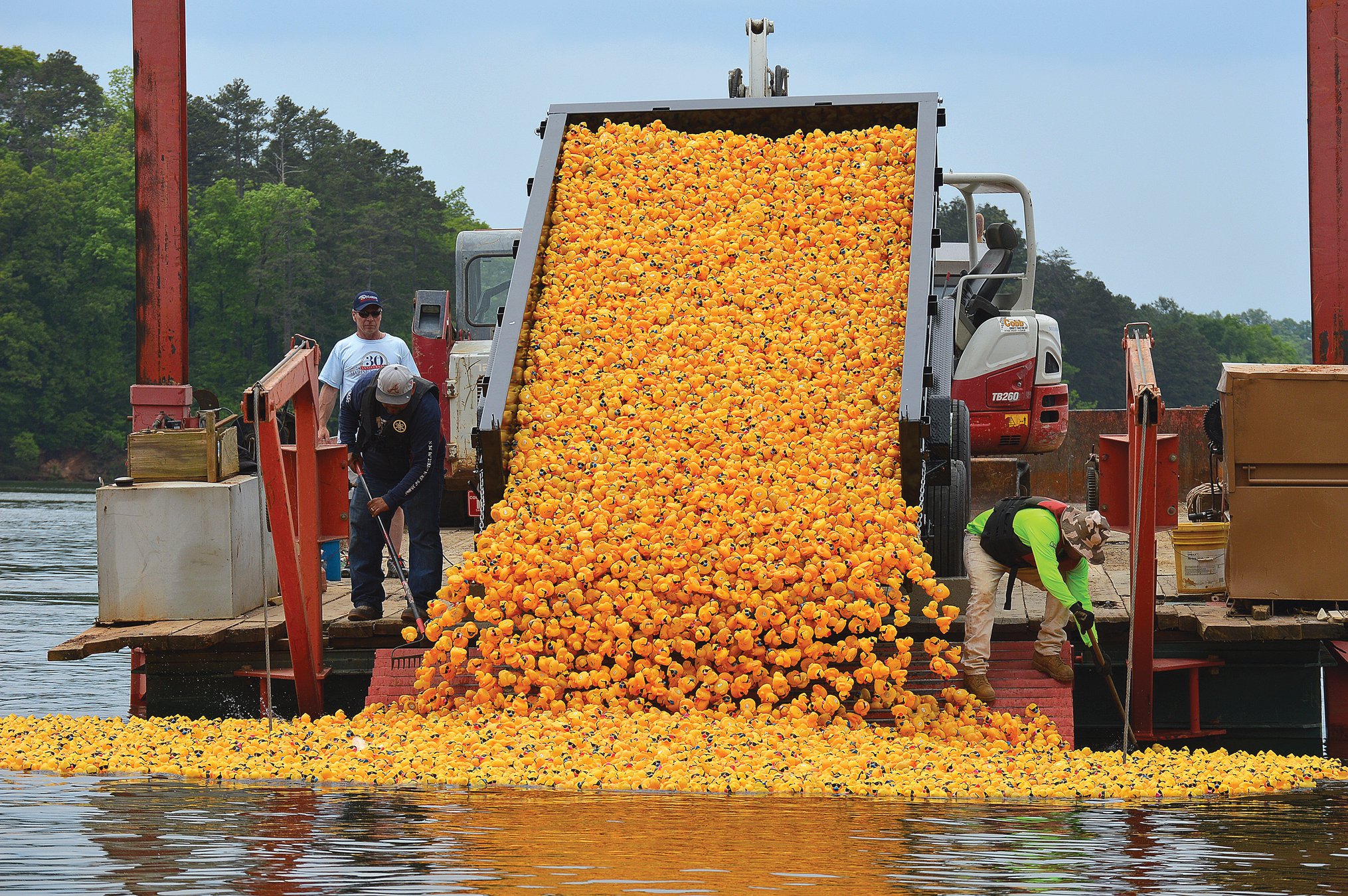 Ducks take a dunking for the kids at annual Derby fundraiser ...