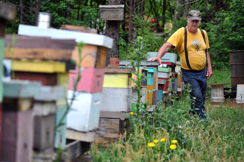 Lula man planning more security after bee theft - Gainesville Times