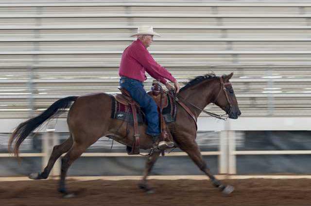 Extreme cowboys to compete in risky rides at Chicopee Ag Center ...