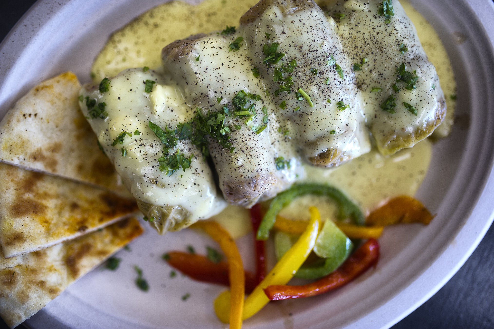 Alpha Gyro Grill turns one year old - Gainesville Times