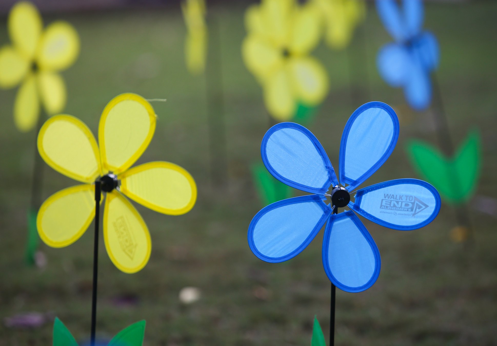 See why hundreds gathered for Walk to End Alzheimer’s in downtown Gainesville - Gainesville Times