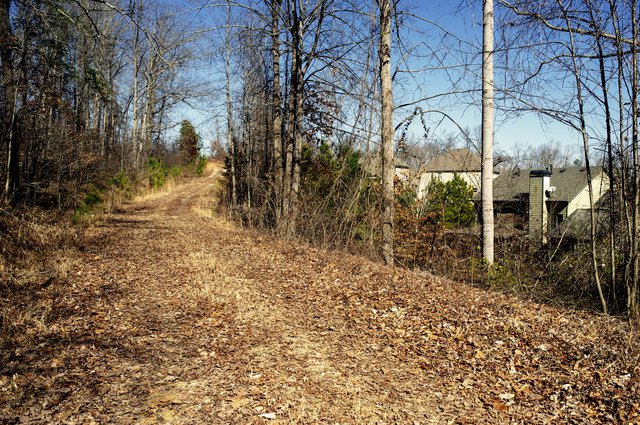 Study approved for future Gainesville, Hall trails - Gainesville Times