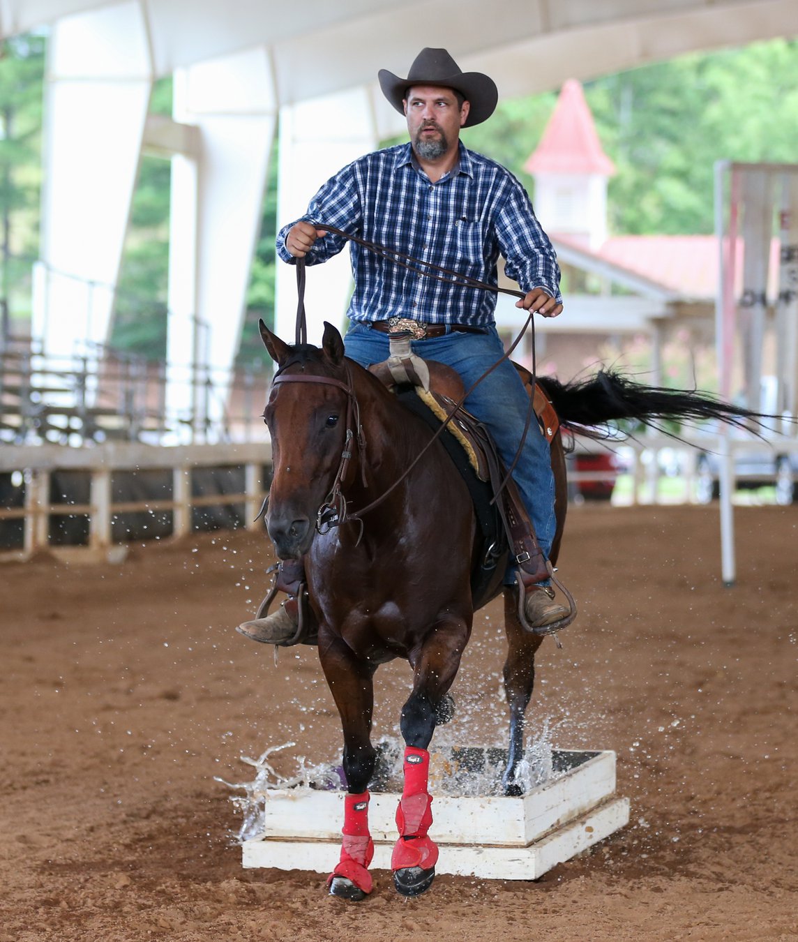 Extreme cowboy racing, in 11 photos - Gainesville Times