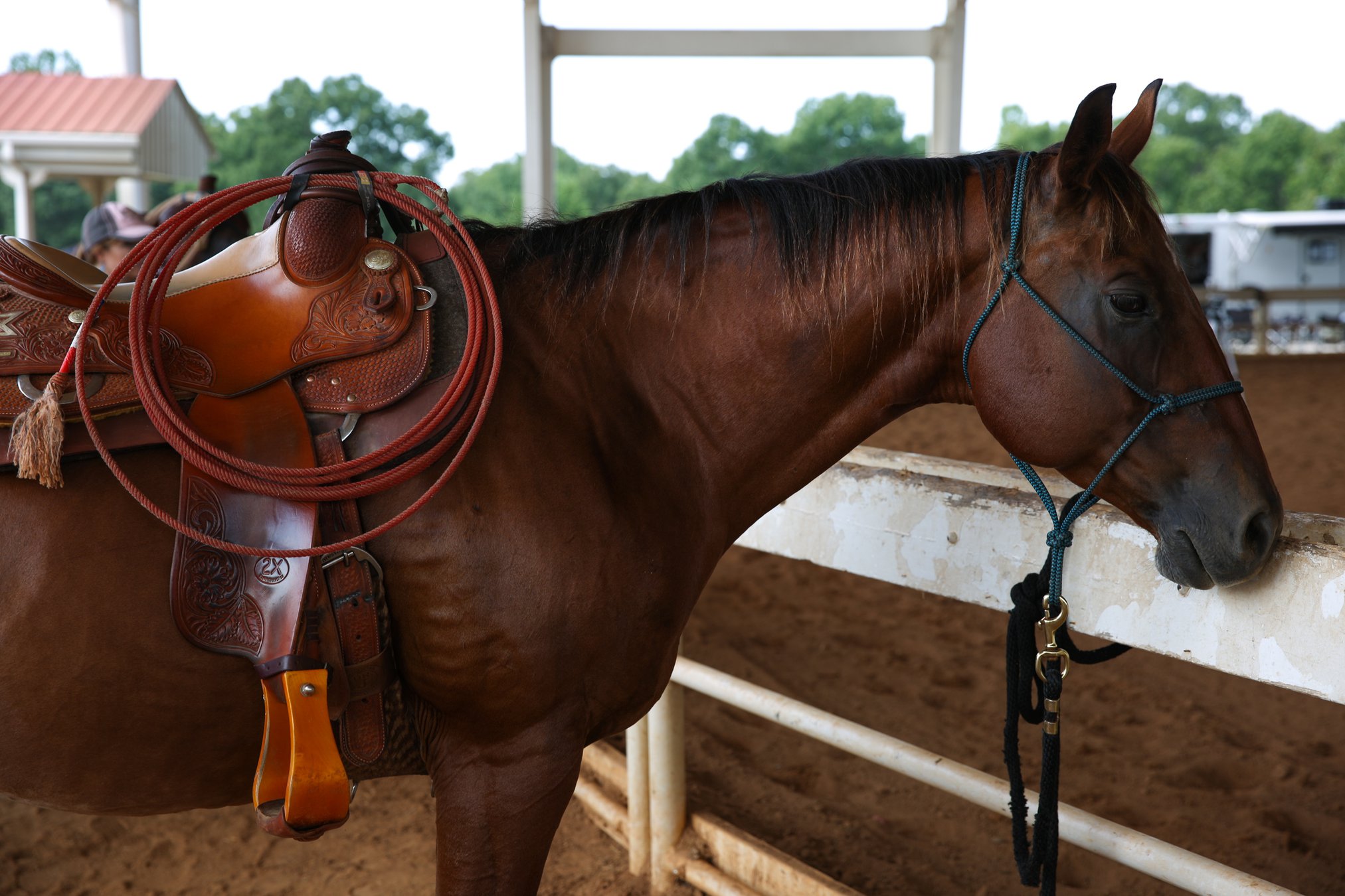 Extreme cowboy racing, in 11 photos - Gainesville Times