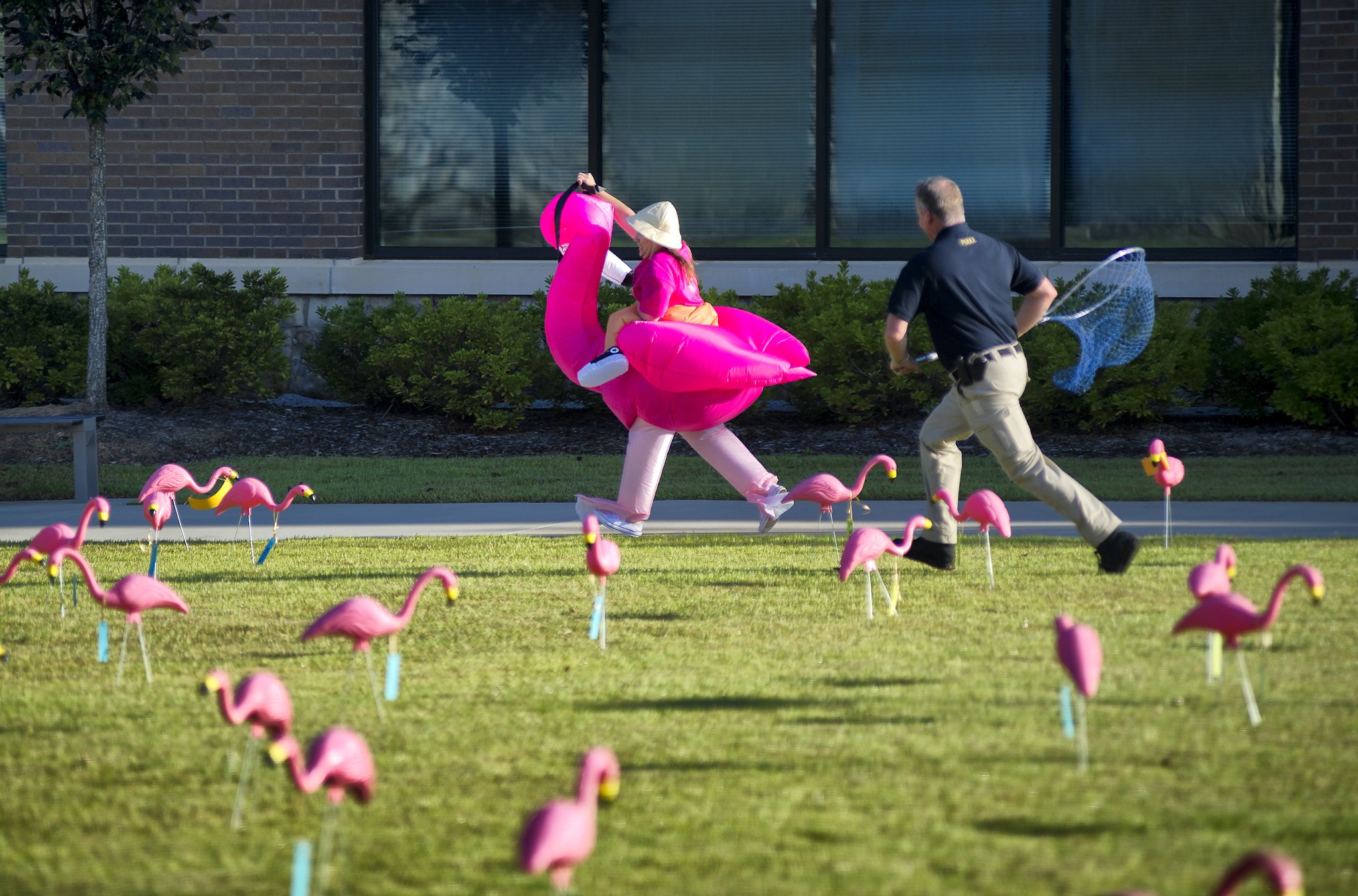 You might've seen police chasing a pink flamingo at Lanier Tech Sept ...