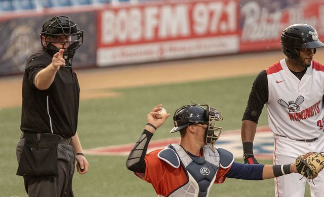 Striking out for the big leagues: Gainesville's McConnell chasing dream ...