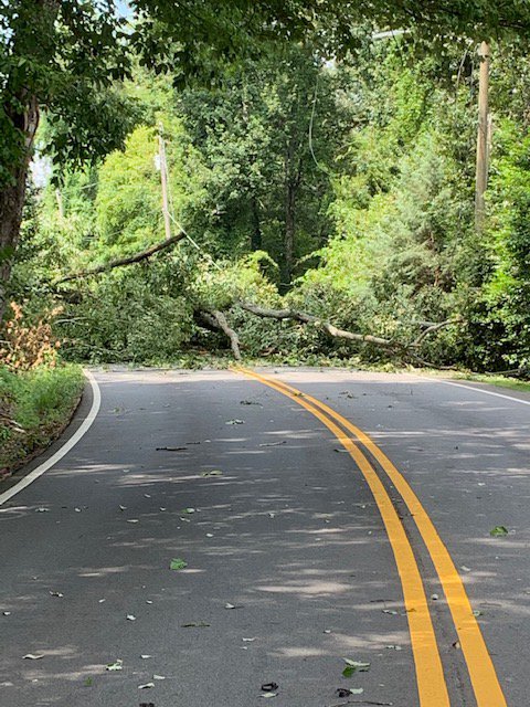 Downed trees, power lines blocked road in Gainesville Monday ...