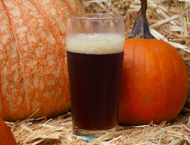 Column: The art of pumpkin brewing - Gainesville Times