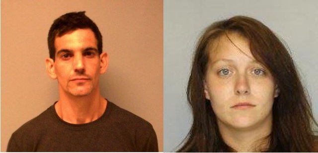 Braselton couple accused in series of West Hall auto break-ins ...