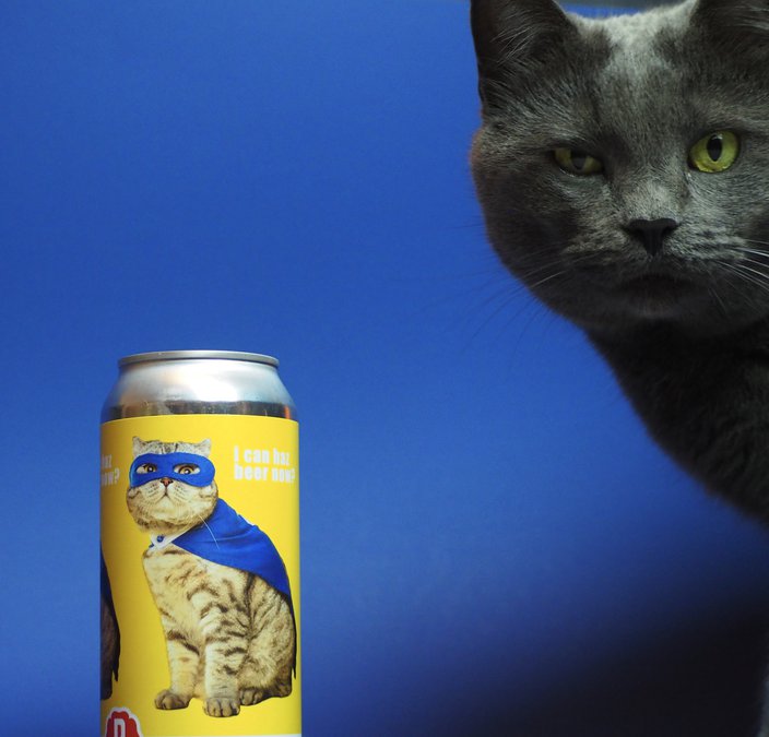 Column: This beer from Reformation Brewery embraces cosplay and cats ...