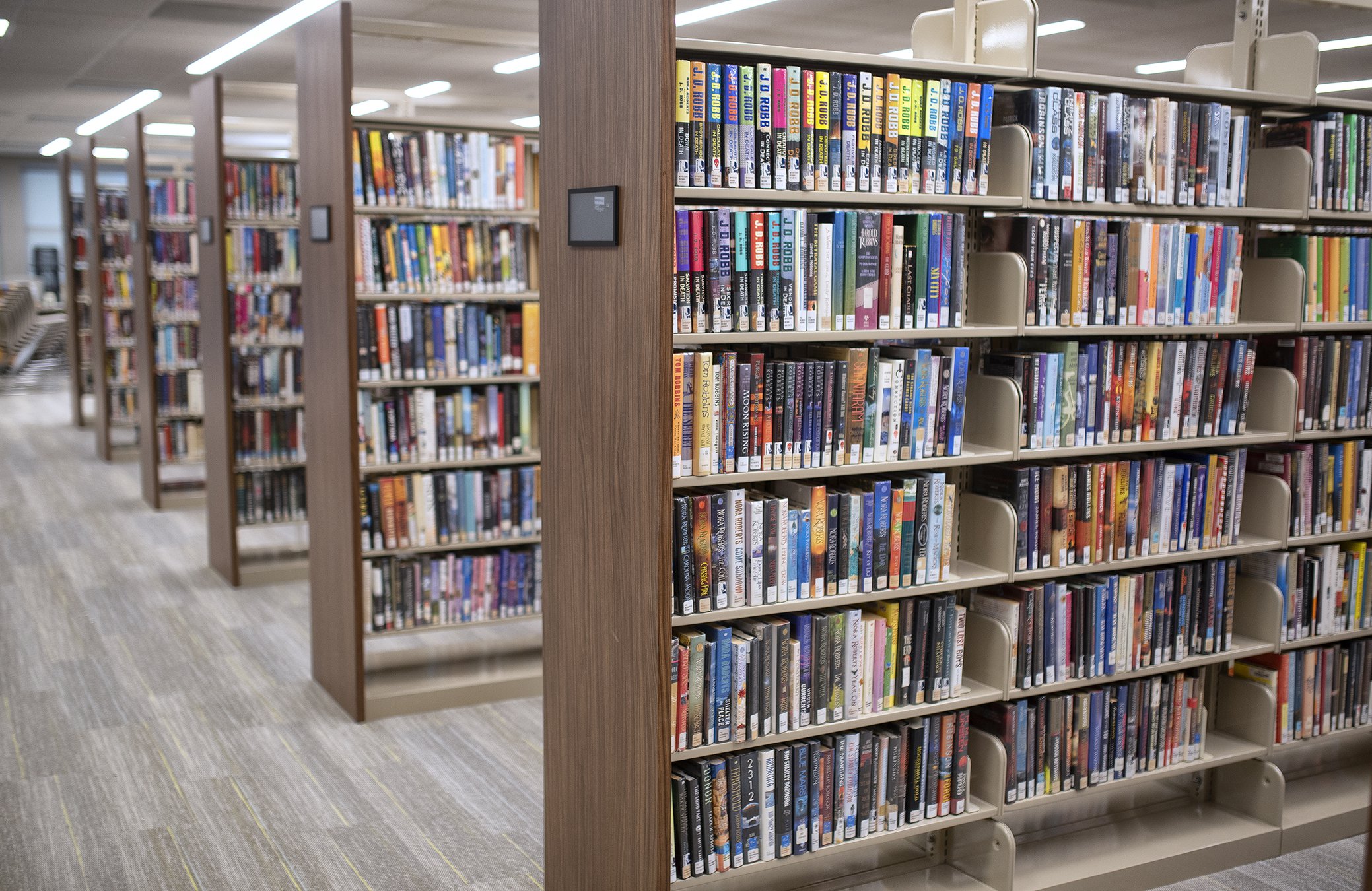 Hall County libraries, government allow more visitors as COVID-19 ...