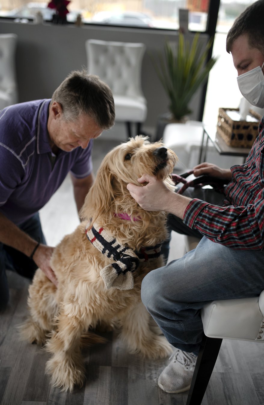 Chiropractor for dogs: How Gary Adams helps relieve pain for his four ...