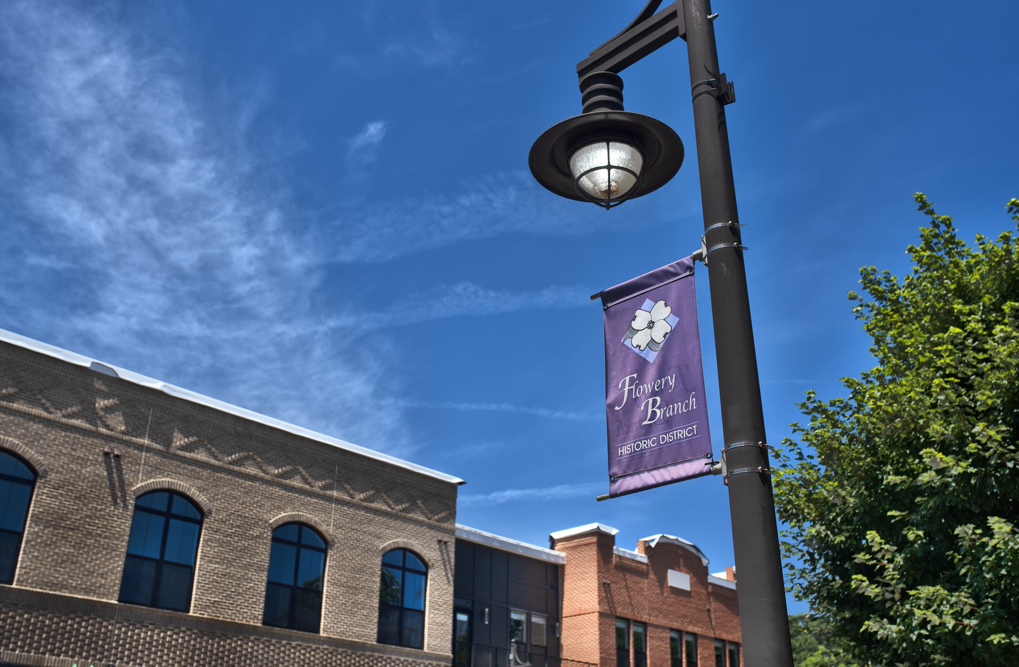 How Flowery Branch residents can comment online about city’s future ...