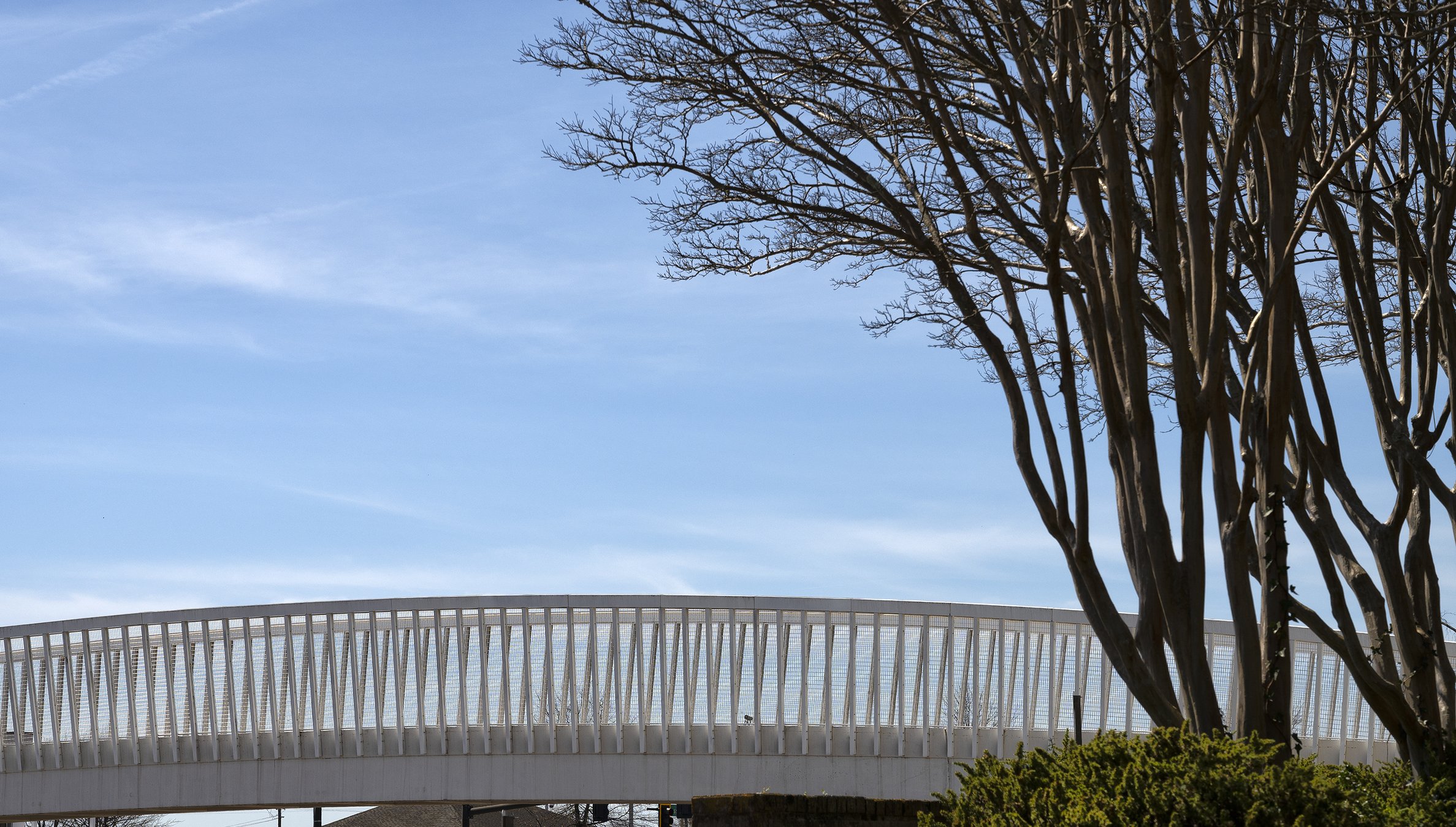 Bridge to somewhere: Downtown Gainesville pedestrian bridge opens ...