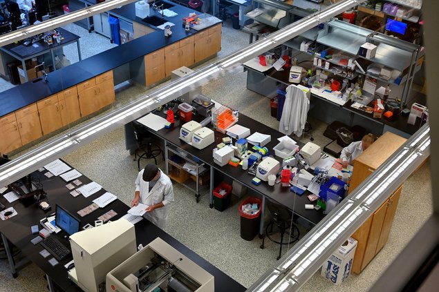 How Georgia Poultry Lab is responding to 'extremely serious' avian flu ...