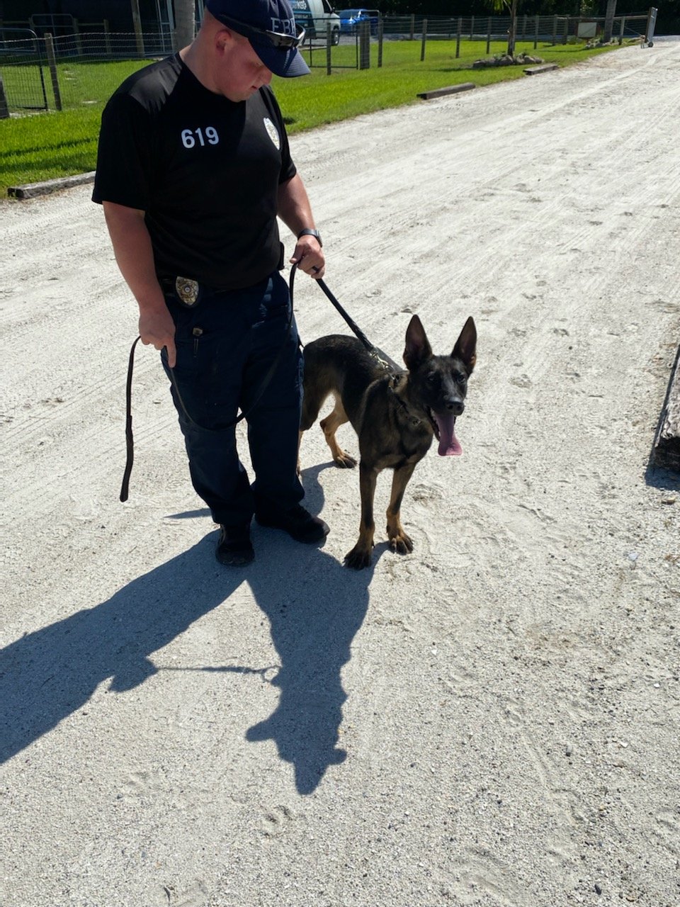 Why Flowery Branch is rebooting its K9 program after being dormant for ...