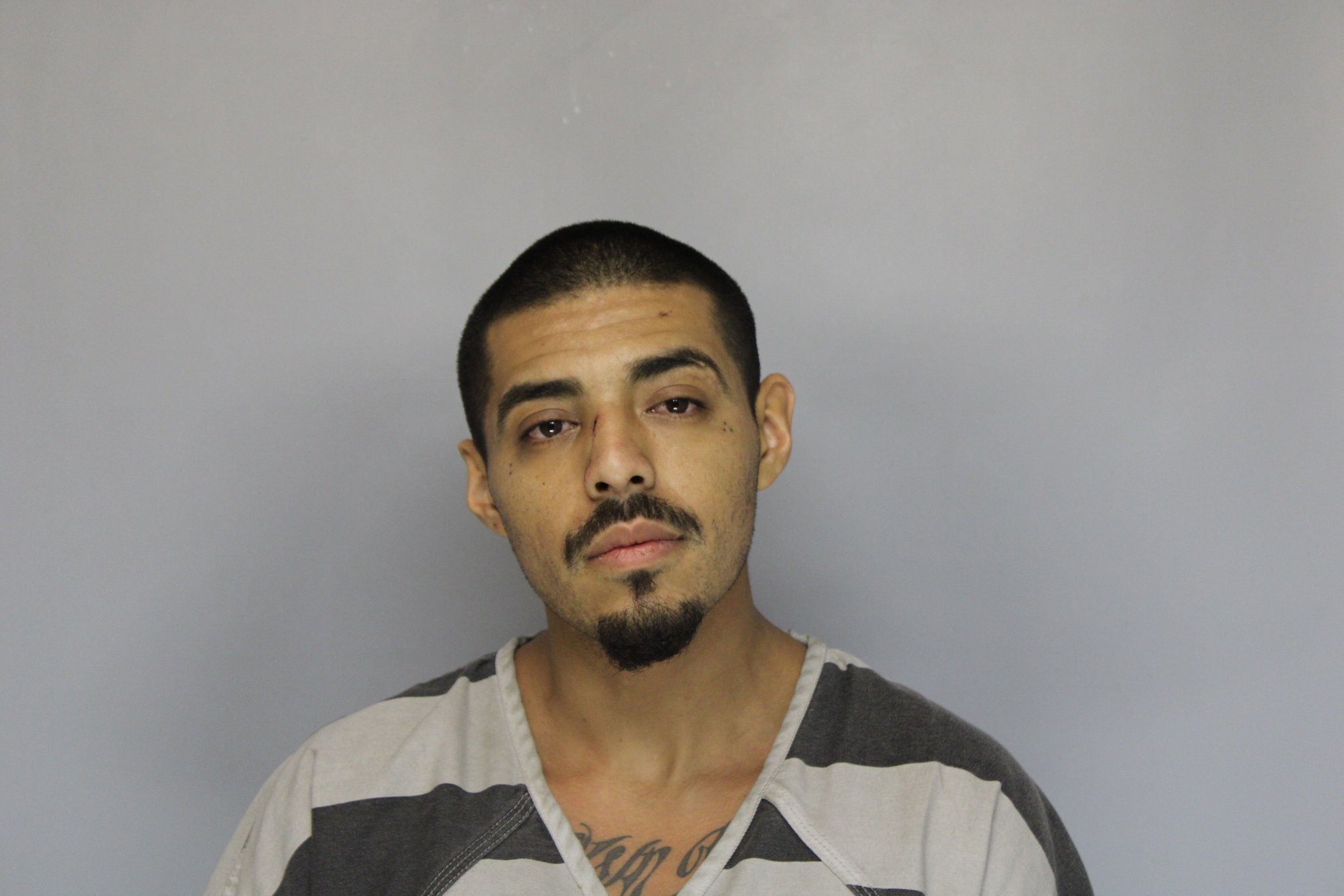 Gainesville man accused of clotheslining officer with gas pump ...