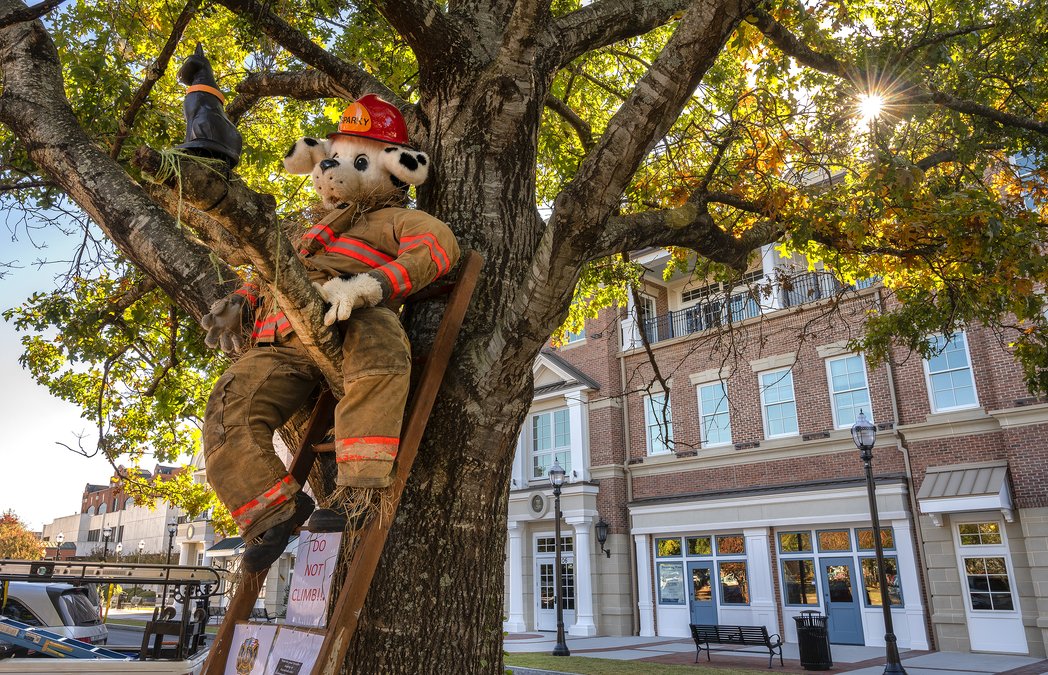 Scarecrows are back on the square. How the tradition nods to ...