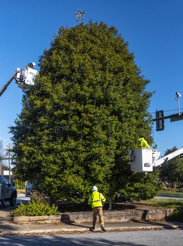How many lights does it take to decorate Gainesville's 40-foot ...
