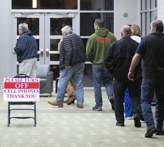 Hall voters head to polls in Senate runoff race - Gainesville Times
