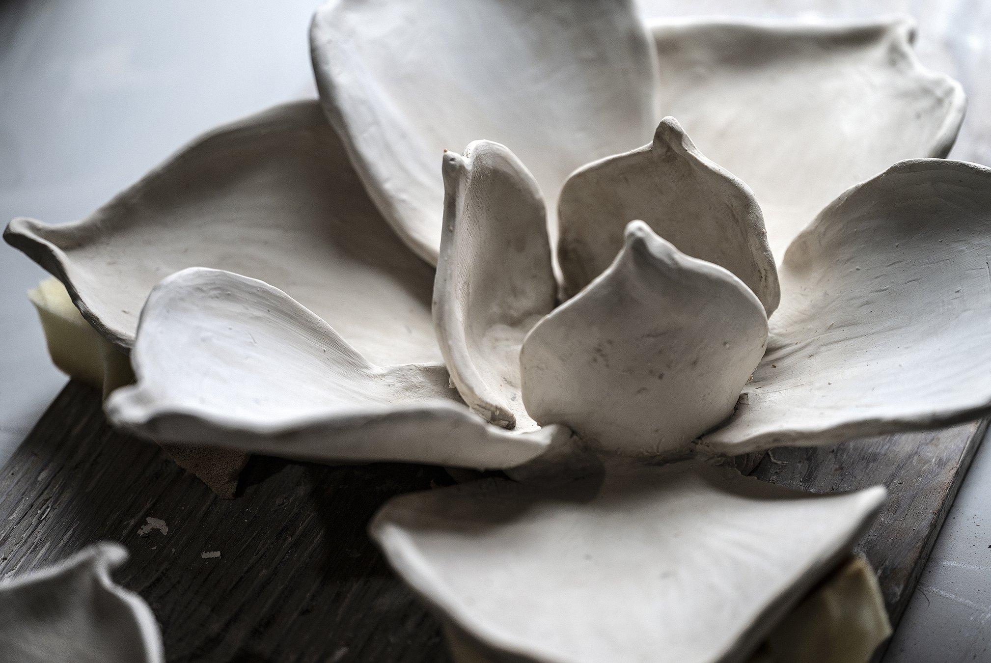 Tradition with a twist: Flowery Branch’s John Kim brings modern take to ...