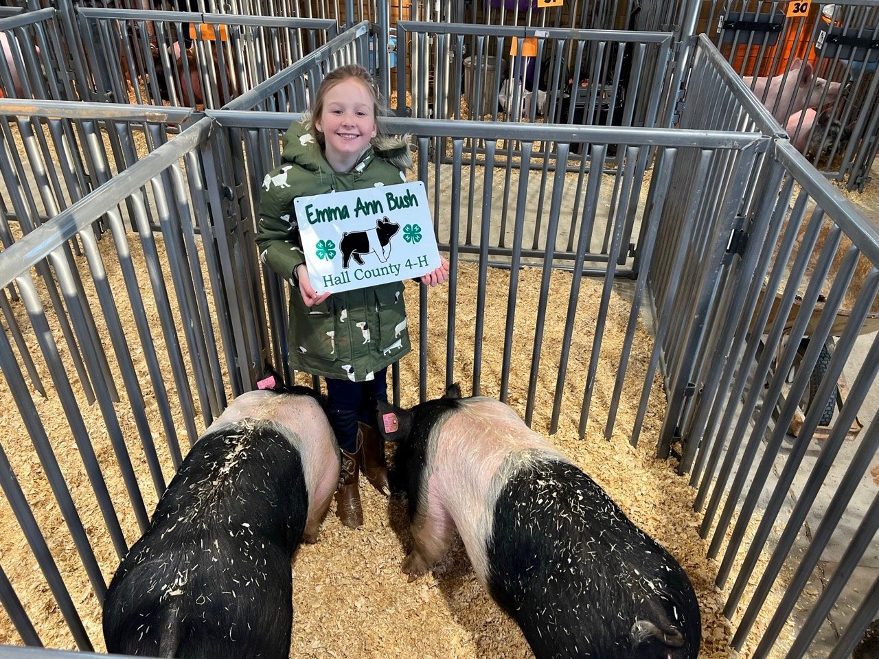 Meet Emma Ann Bush, Hall County’s first 4-H show pig exhibitor in 20 ...