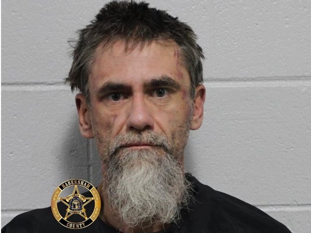 Gainesville wrong-way driver crashes into patrol car, kicks deputy ...