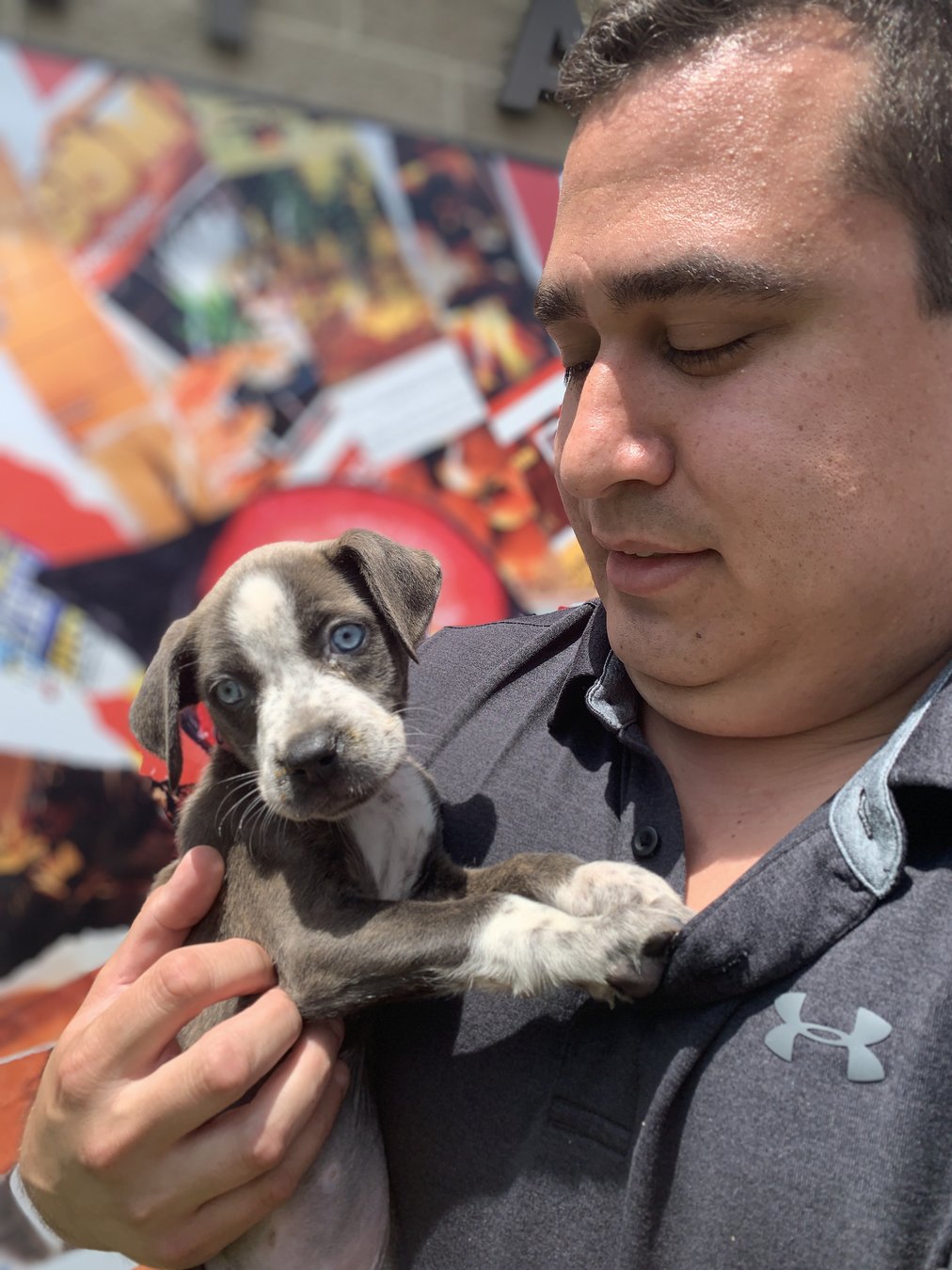 Furry Fall Festival set to offer howling good time for pets and their ...
