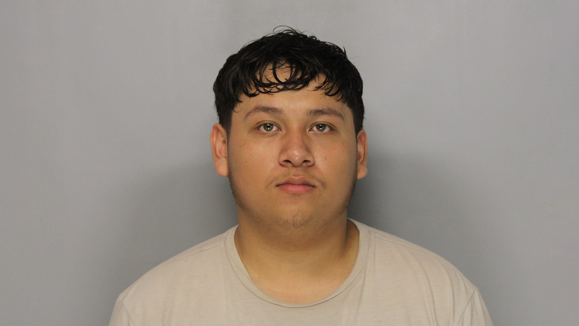 Gainesville man convicted in animal cruelty case involving baby ...