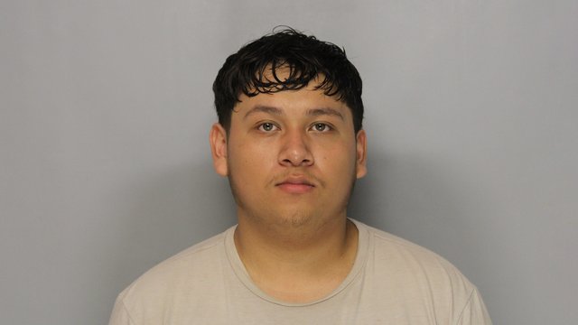 Gainesville man accused of strangling baby chickens - Gainesville Times