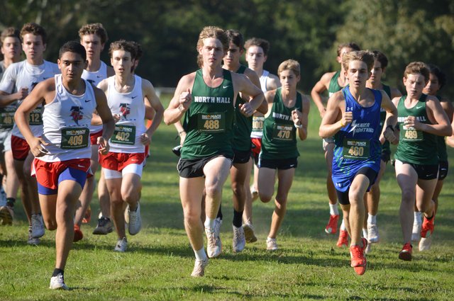 High school cross country: Hall's best getting ready to face the field ...