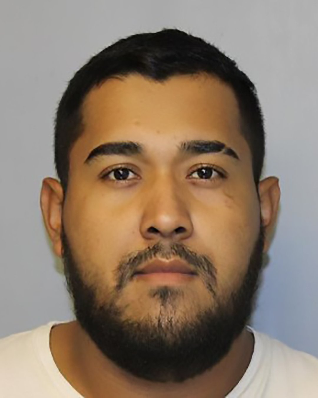 Flowery Branch man accused of wrapping Yorkies in a towel, slamming ...