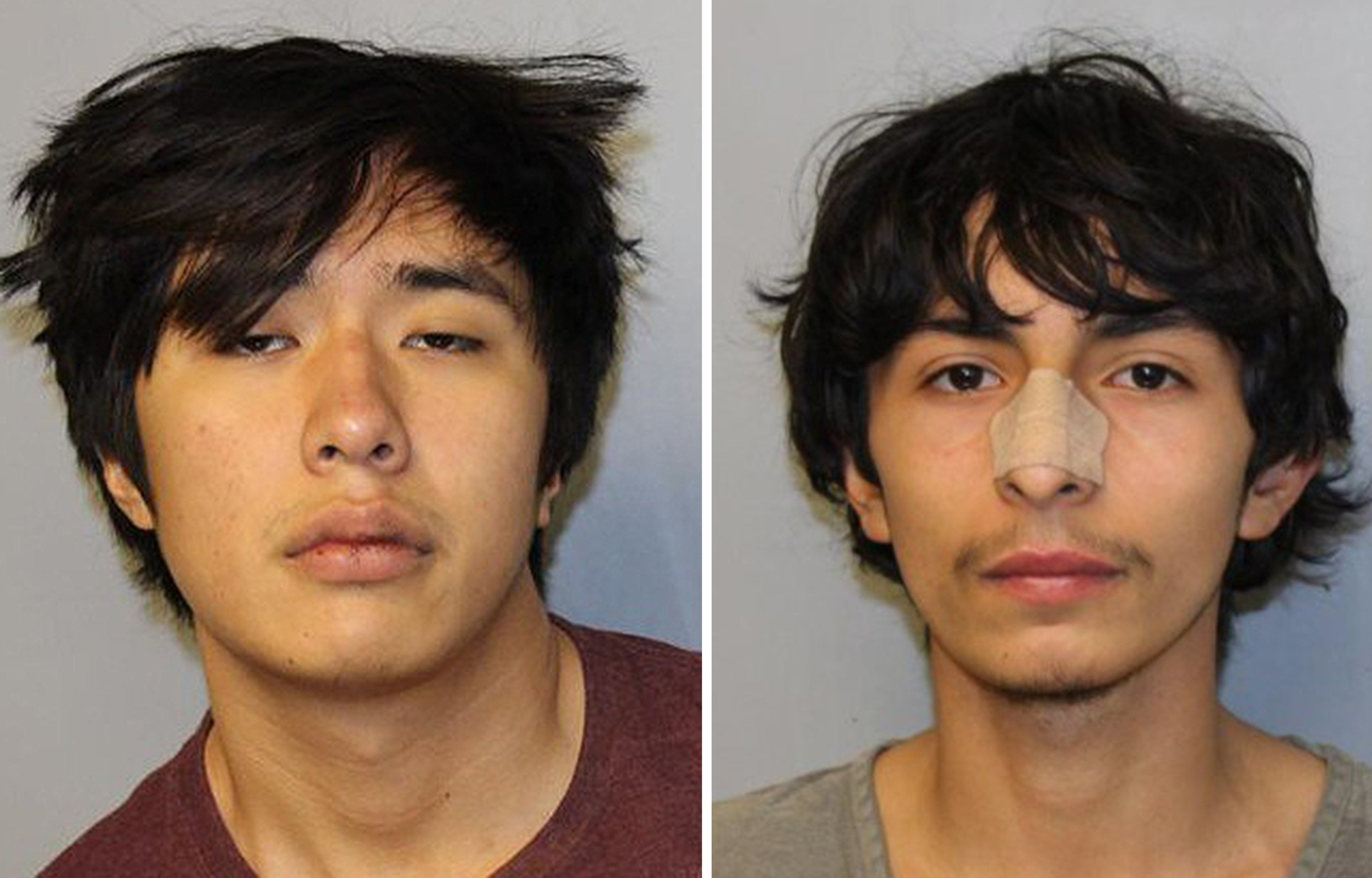 Spree of car break-ins ends in plea deals for two Gainesville men ...