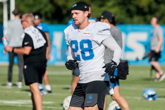 Detroit Lions rookie, North Hall grad Dan Jackson placed on injured ...