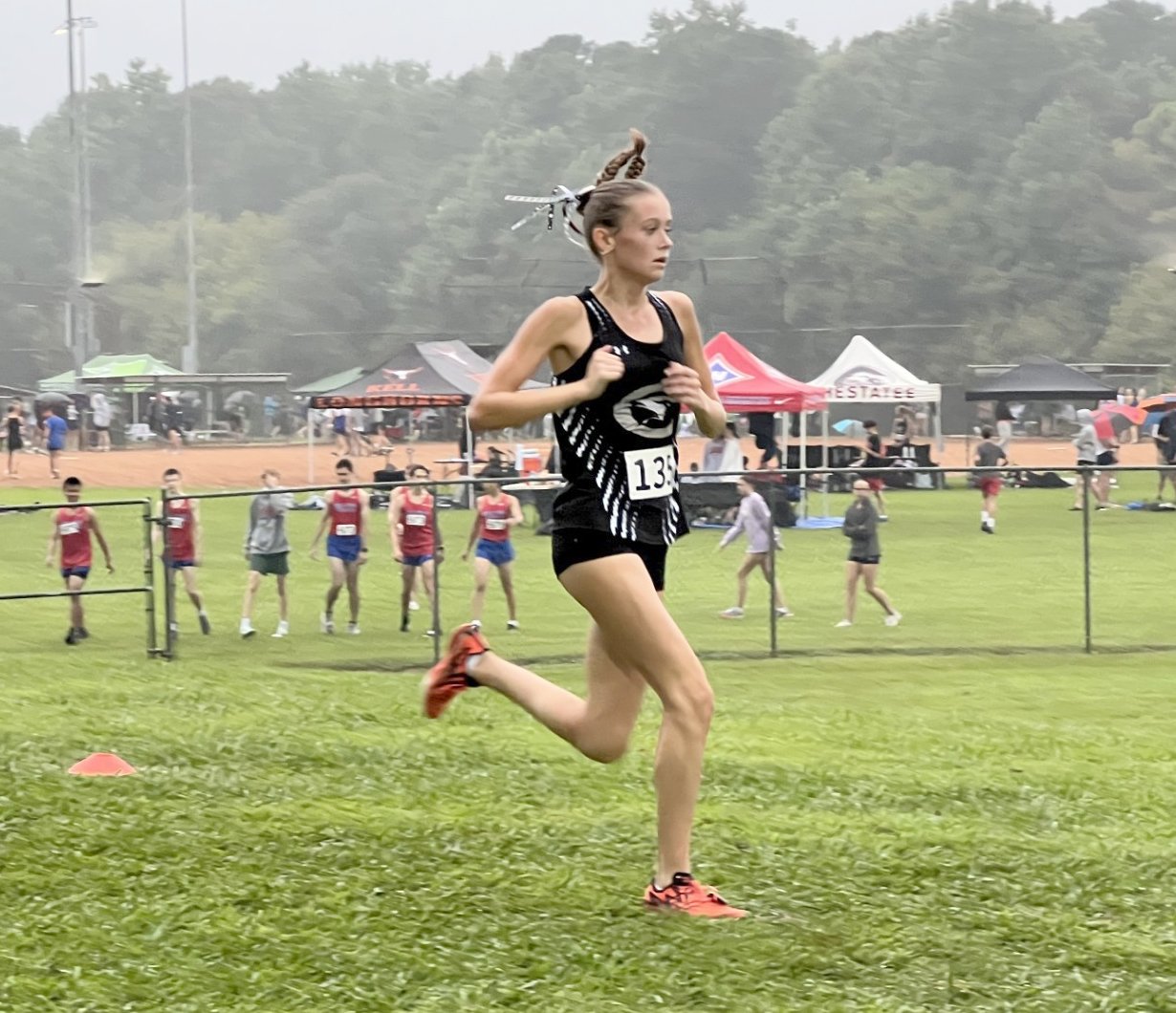 High school cross country: Runners from Hall post solid finishes in ...